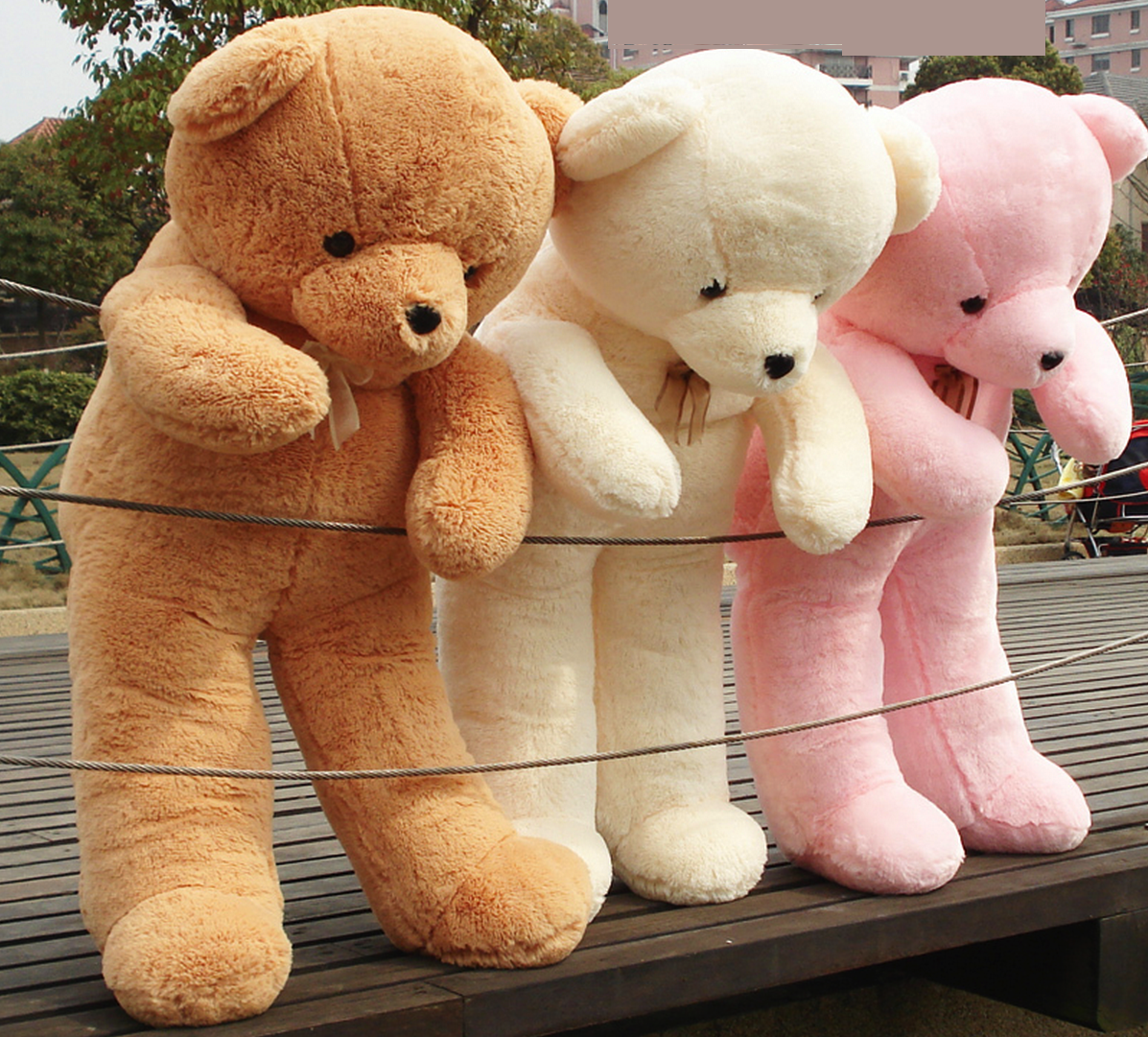 Pics Photos The Big Teddy Bear